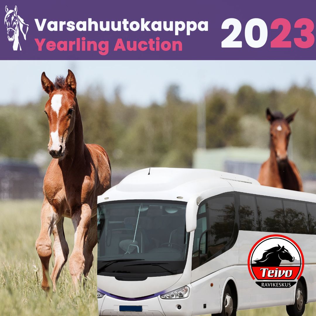 Bussilla Varsahuutokauppaan Teivosta - Starinitan varsahuutokauppa